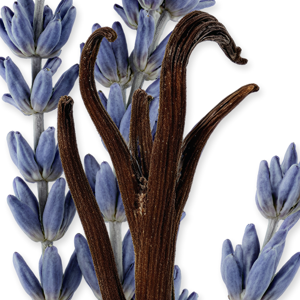 Layton Exclusif Parfum (125ml) – Parfums de Marly Official Website ...