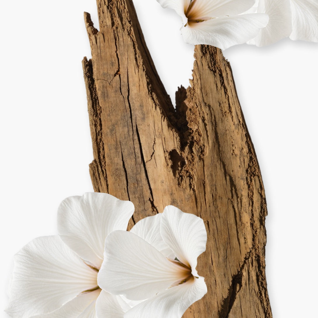 Valaya Eau de Parfum (75ml) - Parfums de Marly Official Website ...