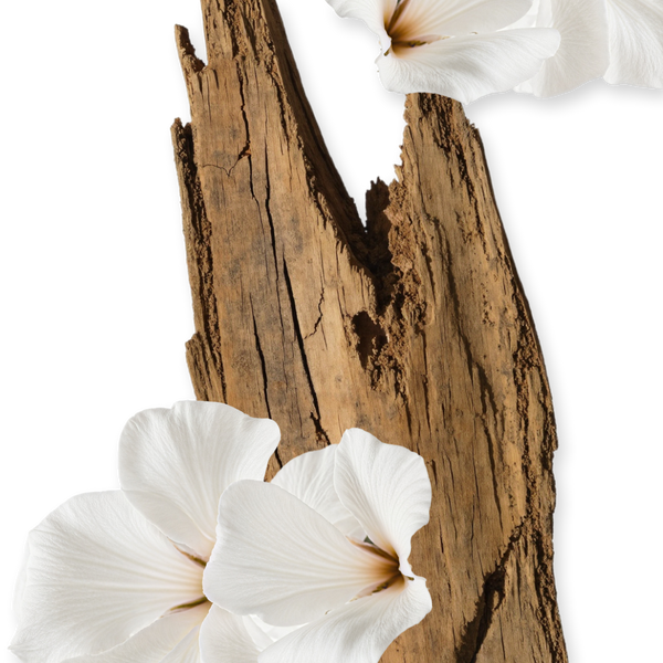 Valaya Eau de Parfum (75ml) - Parfums de Marly Official Website ...